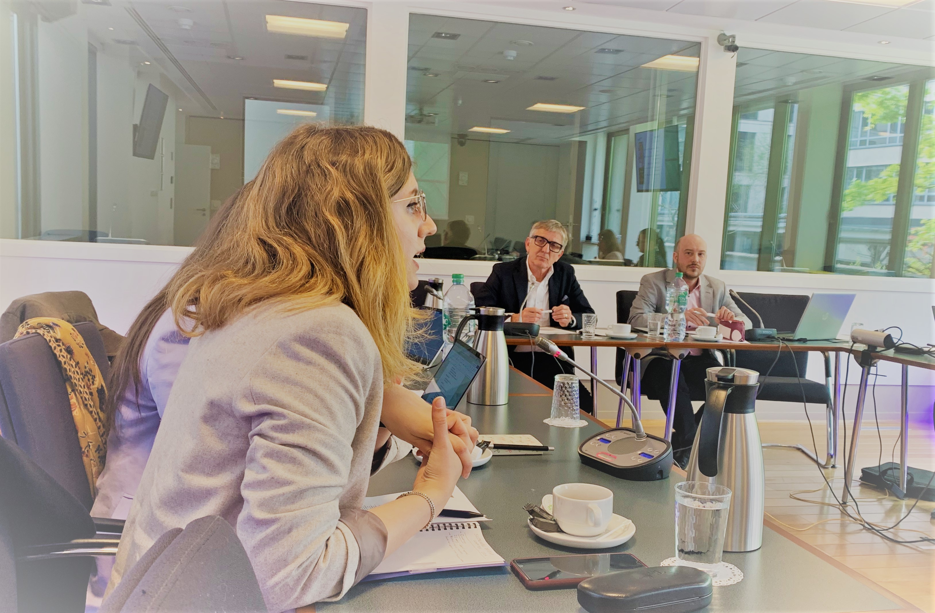 Sustainable Development Committee discussed with MEP Liese Green Deal ...